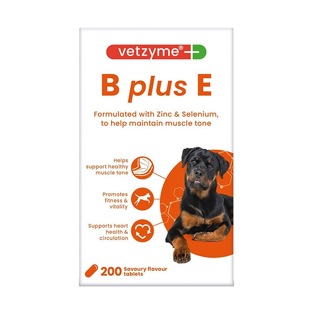 Vetzyme B Plus E (200 Tablets) - Pet Shop Nigeria